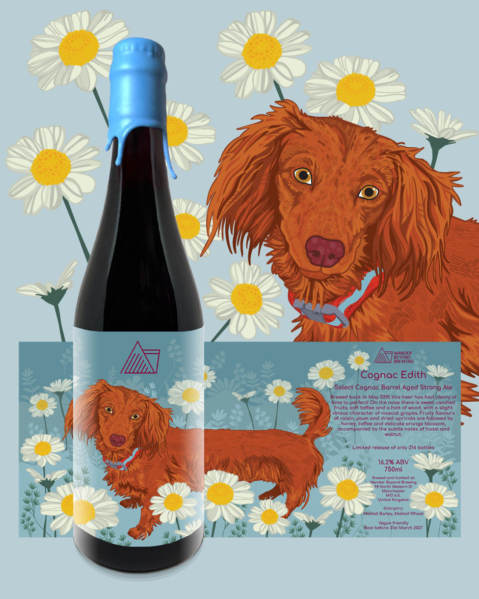 Wander Beyond Brewing