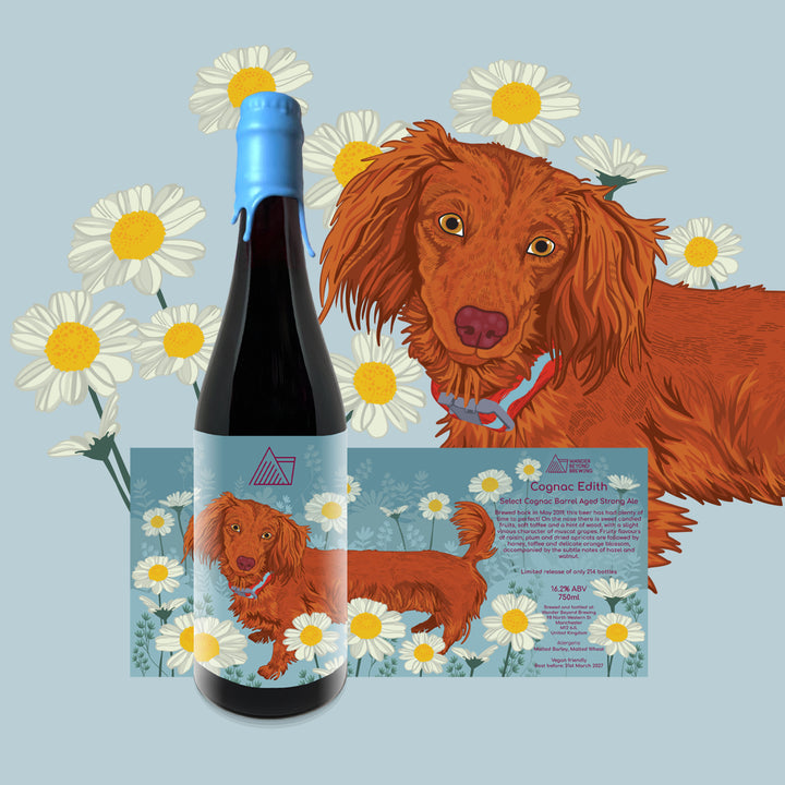 Wander Beyond Brewing