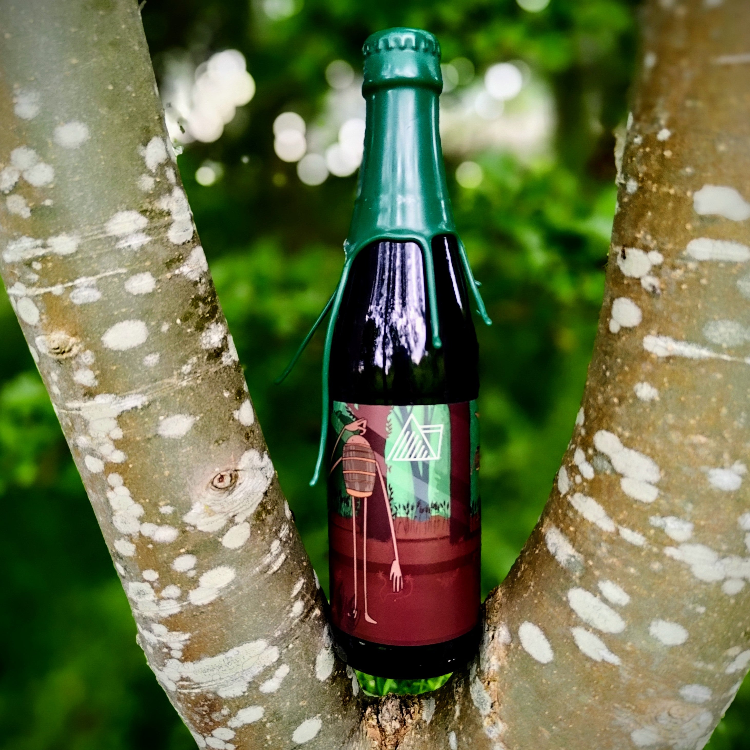 Wander Beyond Brewing